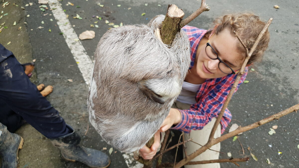 Haarseife selbst gemacht - Rezept | Anna-Lena Feldmann